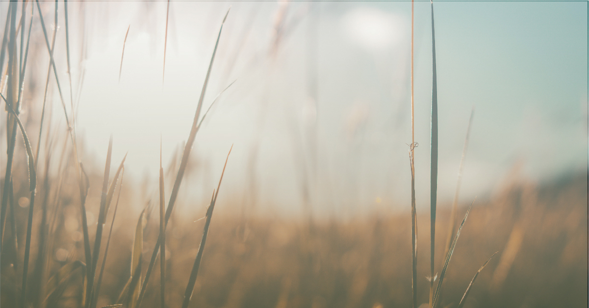 What is Logotherapy? | Healing through Meaning | The Viktor E. Frankl ...